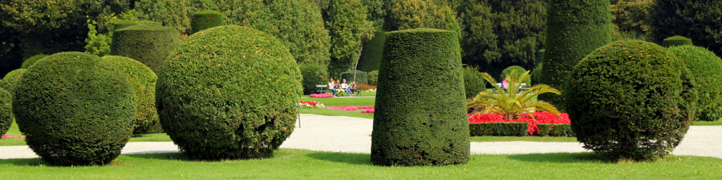 Commercial Landscape Design & Installation - A&M Landscape